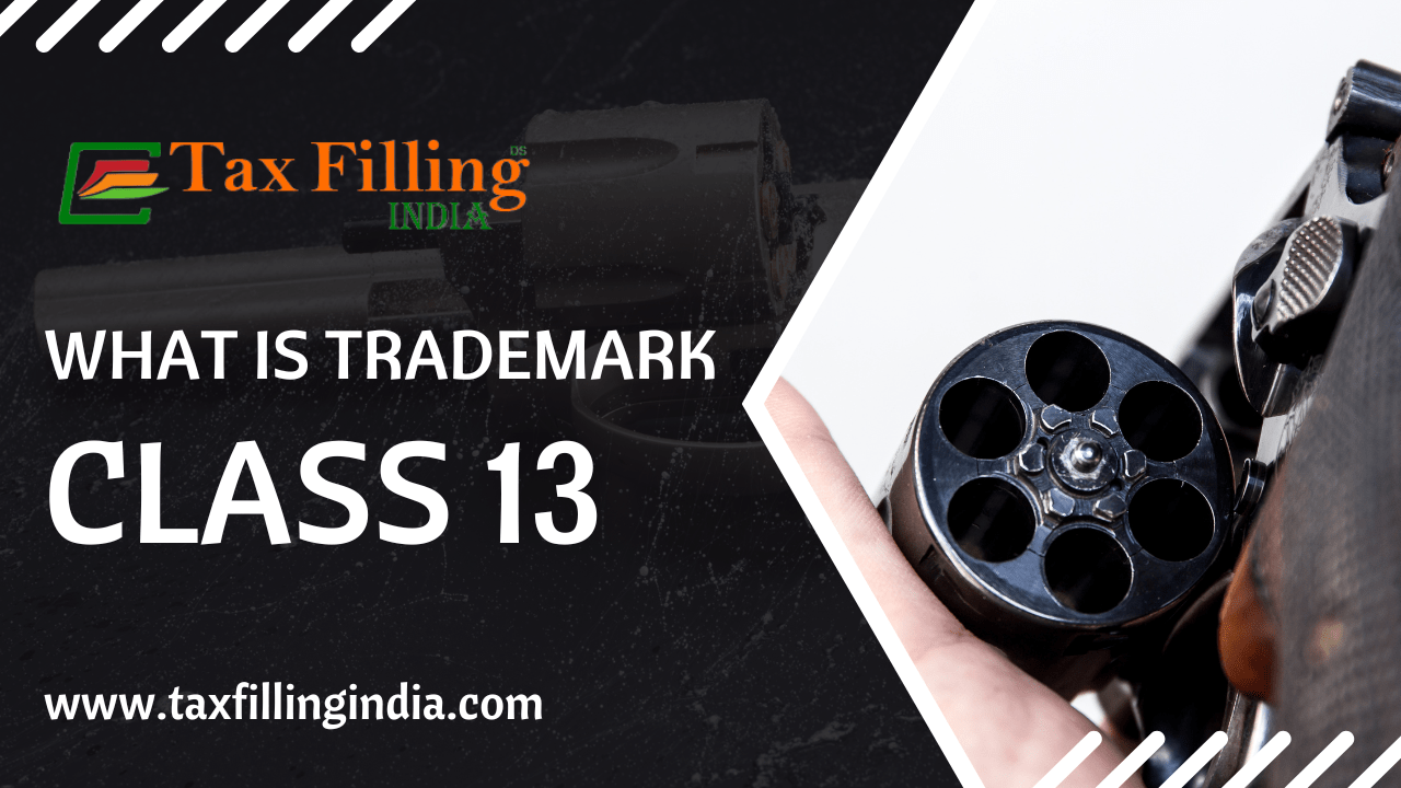 What is Trademark Class 13?