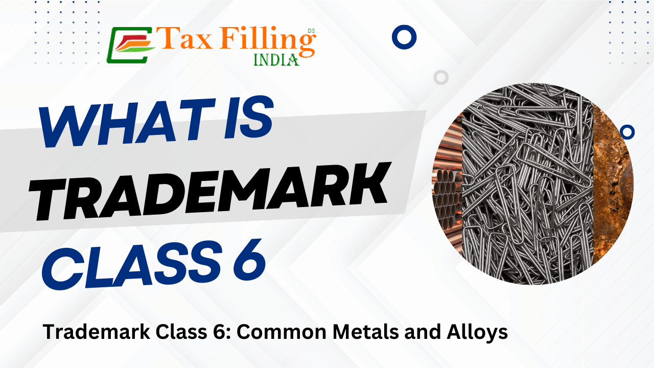 What is Trademark Class 6?